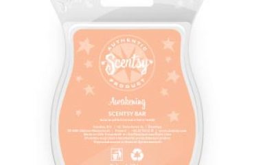 Moonlight Scentsy Mixology Recipe - The Candle Boutique Scentsy Blog