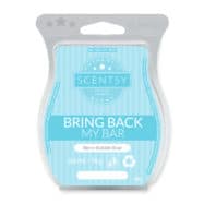 Black Raspberry Vanilla Scentsy Bar - The Candle Boutique - Scentsy UK ...
