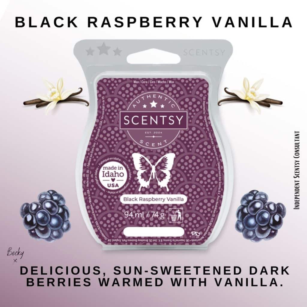 Black Raspberry Vanilla Scentsy Bar - The Candle Boutique - Scentsy UK ...