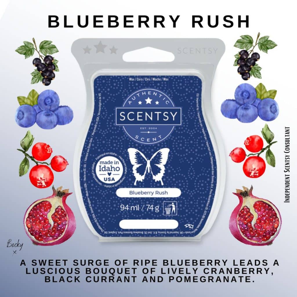 Blueberry Rush Scentsy Bar - The Candle Boutique - Scentsy UK Consultant