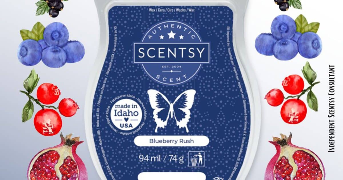Blueberry Rush Scentsy Bar - The Candle Boutique - Scentsy UK Consultant