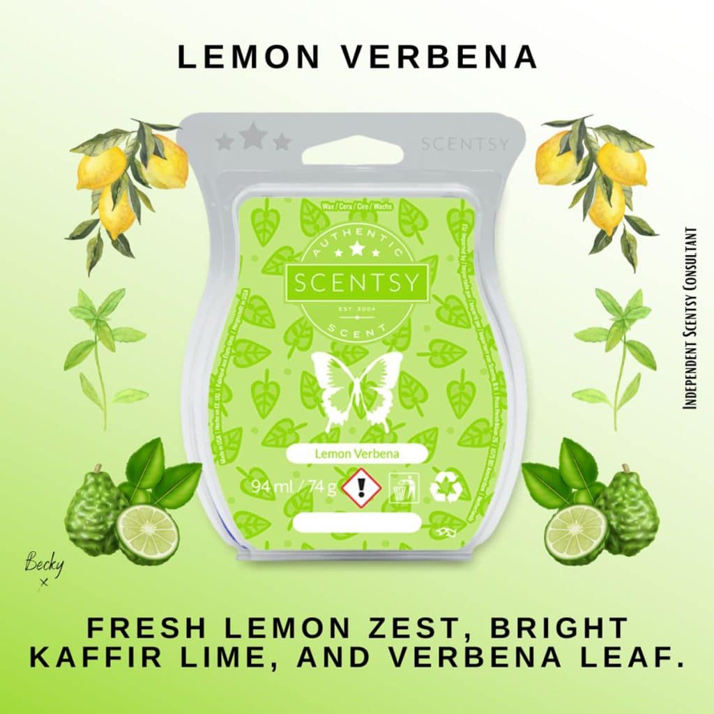 Pink Lemon Water Scentsy Bar - The Candle Boutique - Scentsy UK Consultant