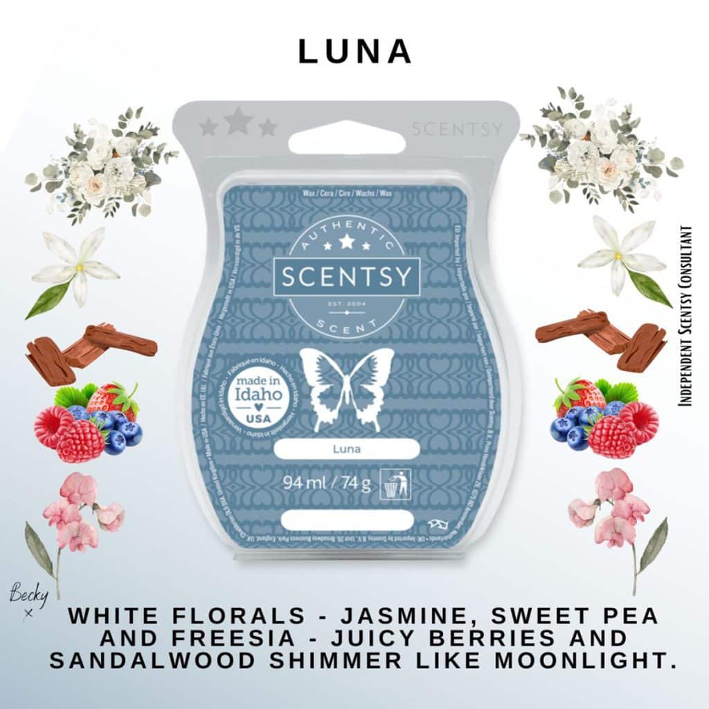 Southern Evening Scentsy Bar - The Candle Boutique - Scentsy UK Consultant