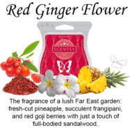 Red Ginger Flower Scentsy Bar - The Candle Boutique - Scentsy UK Consultant