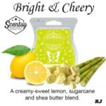 Bright and Cheery Scentsy Bar - The Candle Boutique - Scentsy UK Consultant