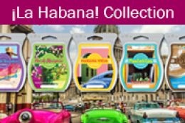 New Autumn/Winter Scentsy UK Scented Wax Fragrances - The Candle ...