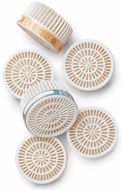 Scentsy Go! New Battery Powered Fragrance System For 2017