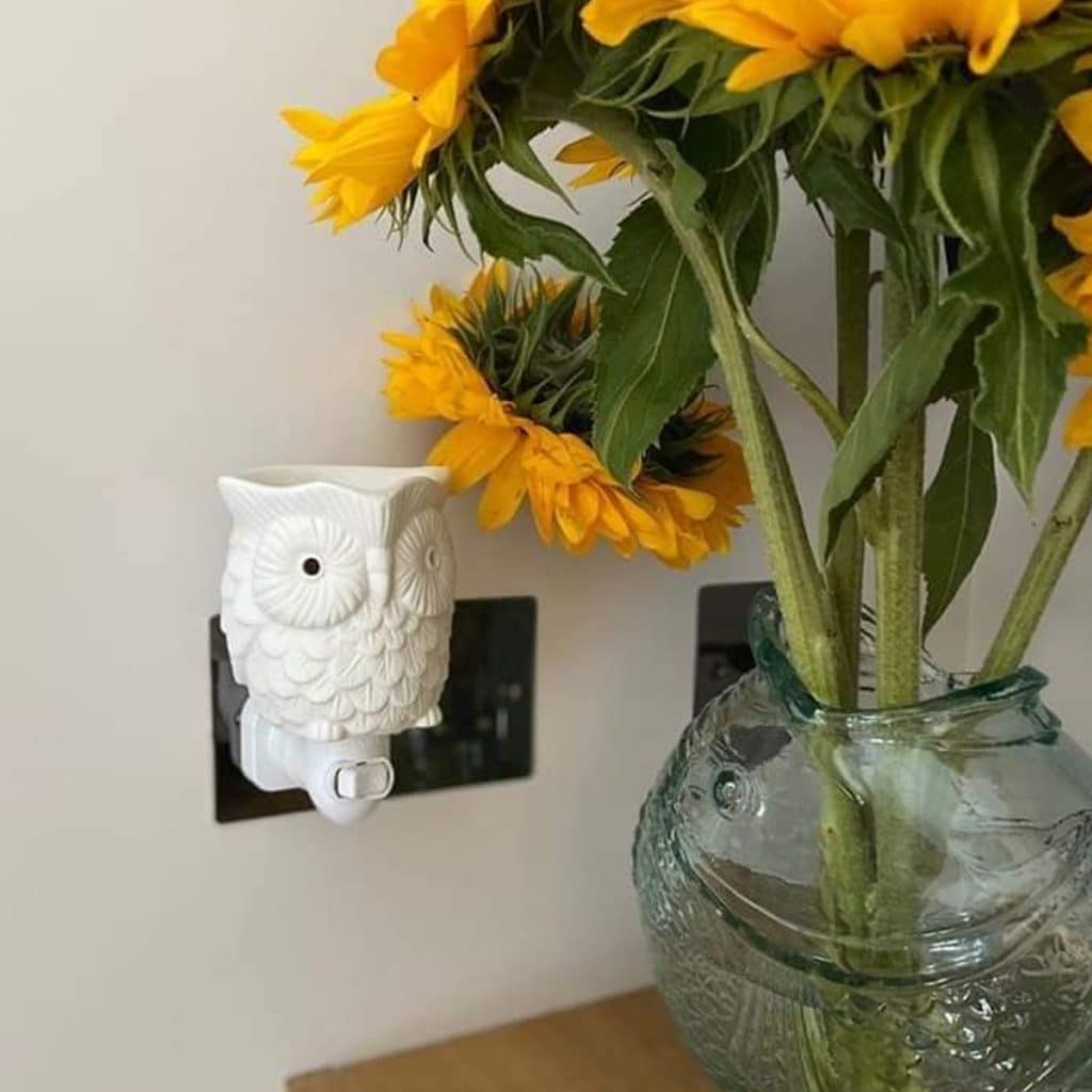 Whoot Owl Scentsy Warmer - The Candle Boutique - Scentsy UK Consultant