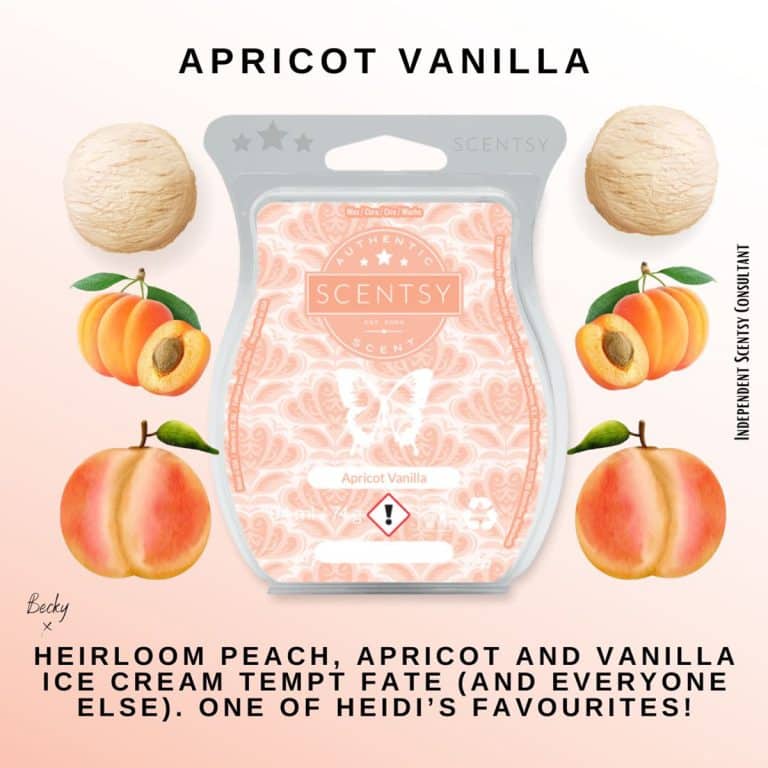 Lucky Star Fruit Scentsy Bar - The Candle Boutique - Scentsy UK Consultant