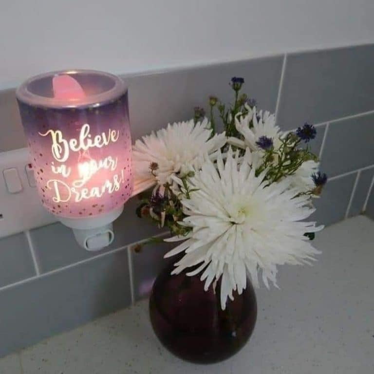 Obsidian Scentsy Warmer