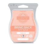 Awakening Scentsy Bar - The Candle Boutique - Scentsy UK Consultant