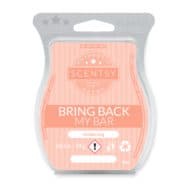 Awakening Scentsy Bar - The Candle Boutique - Scentsy UK Consultant