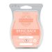 Awakening Scentsy Bar - The Candle Boutique - Scentsy UK Consultant