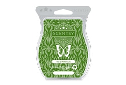 Shop Scentsy UK Products Online | Scentsy Offers 80+ Luxury Scents