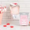 Obsidian Scentsy Warmer