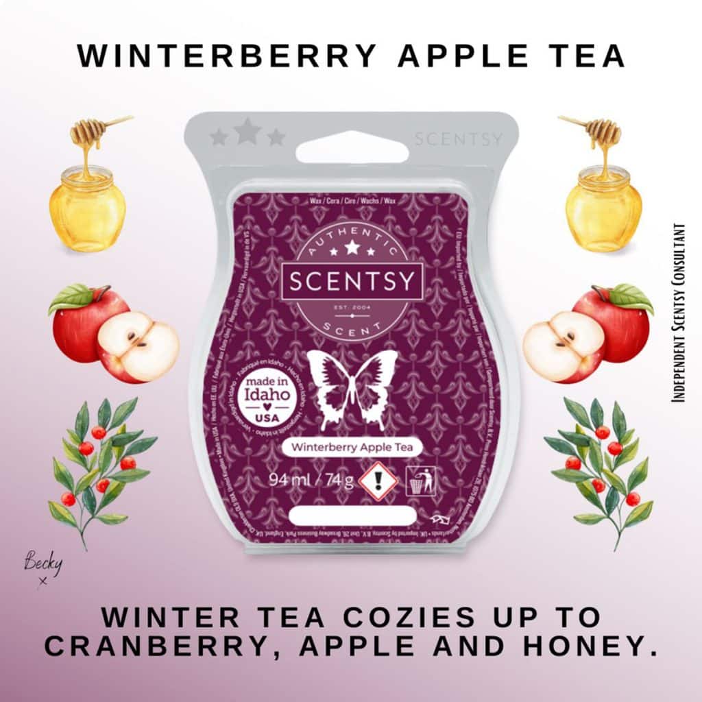 Winterberry Apple Tea Scentsy Bar - The Candle Boutique - Scentsy UK ...