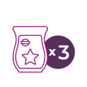 Dashing Scentsy Bar - The Candle Boutique - Scentsy UK Consultant