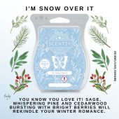 I'm Snow Over It Scentsy Bar - The Candle Boutique - Scentsy UK Consultant