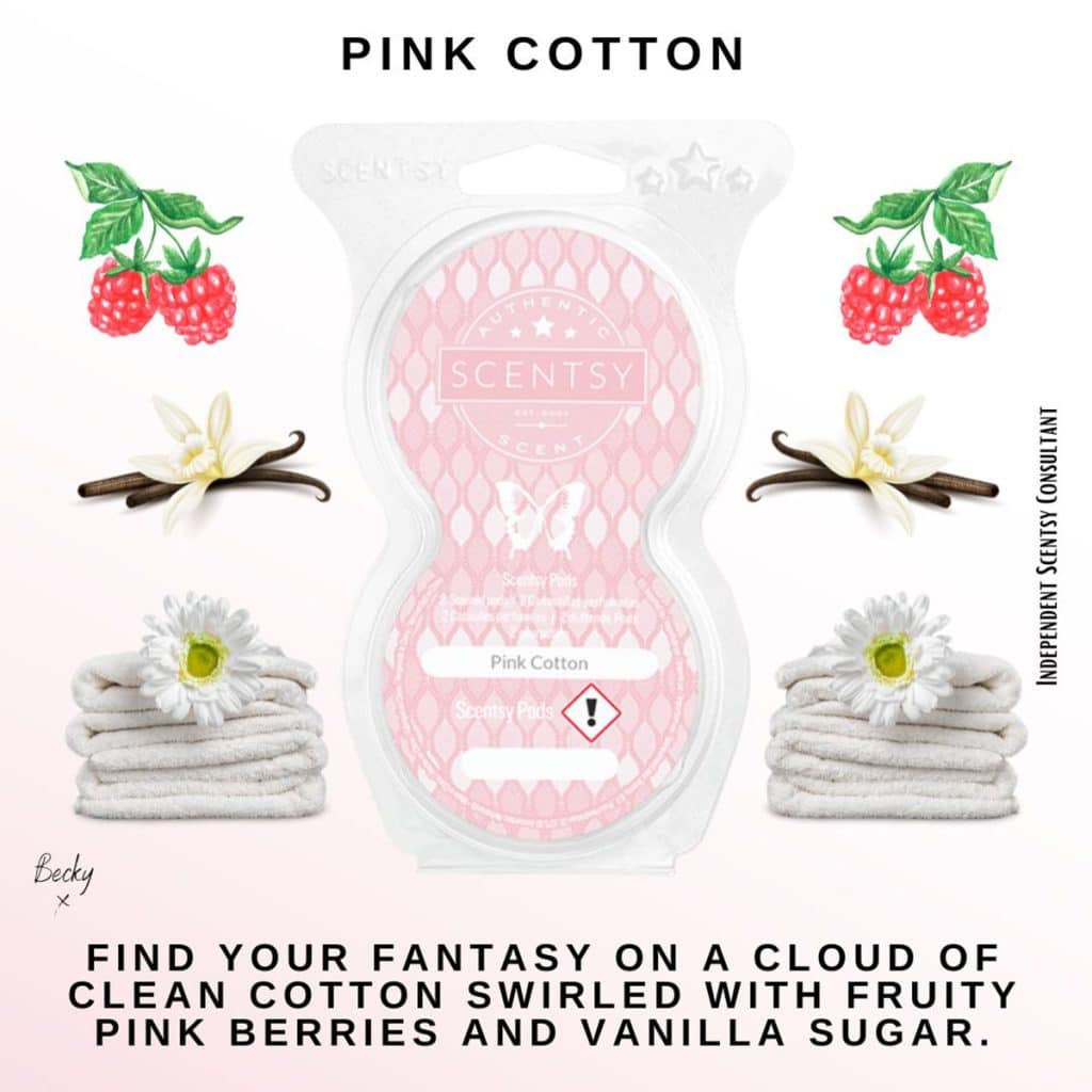 White Amber & Teak Scentsy Pod Twin Pack - The Candle Boutique ...