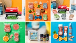 10 Reasons to join Scentsy - Why Become a Scentsy Consultant?