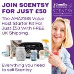 10 Reasons to join Scentsy - Why Become a Scentsy Consultant?