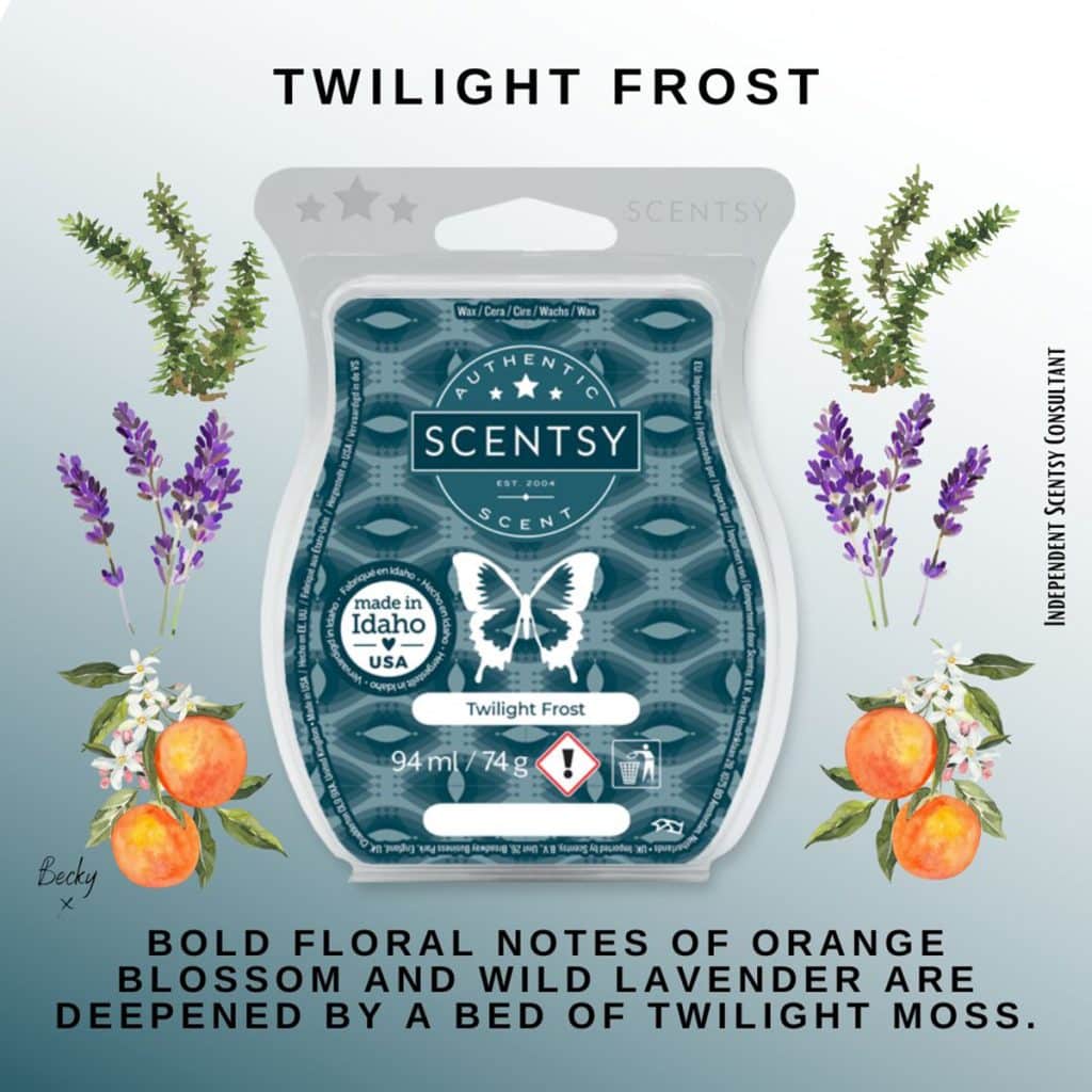 Twilight Frost Scentsy Bar - The Candle Boutique - Scentsy UK Consultant