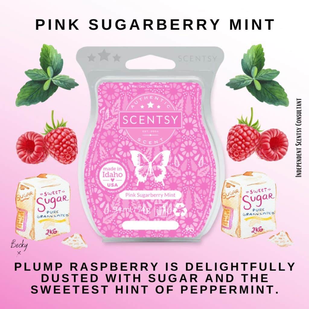 Berry Fairy Tale Scentsy Bar - The Candle Boutique - Scentsy UK Consultant
