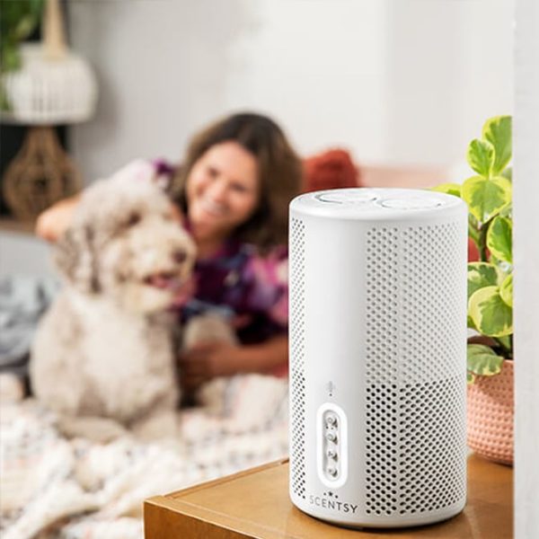 Scentsy Air Purifier - For a clean and beautifully scented environment ...