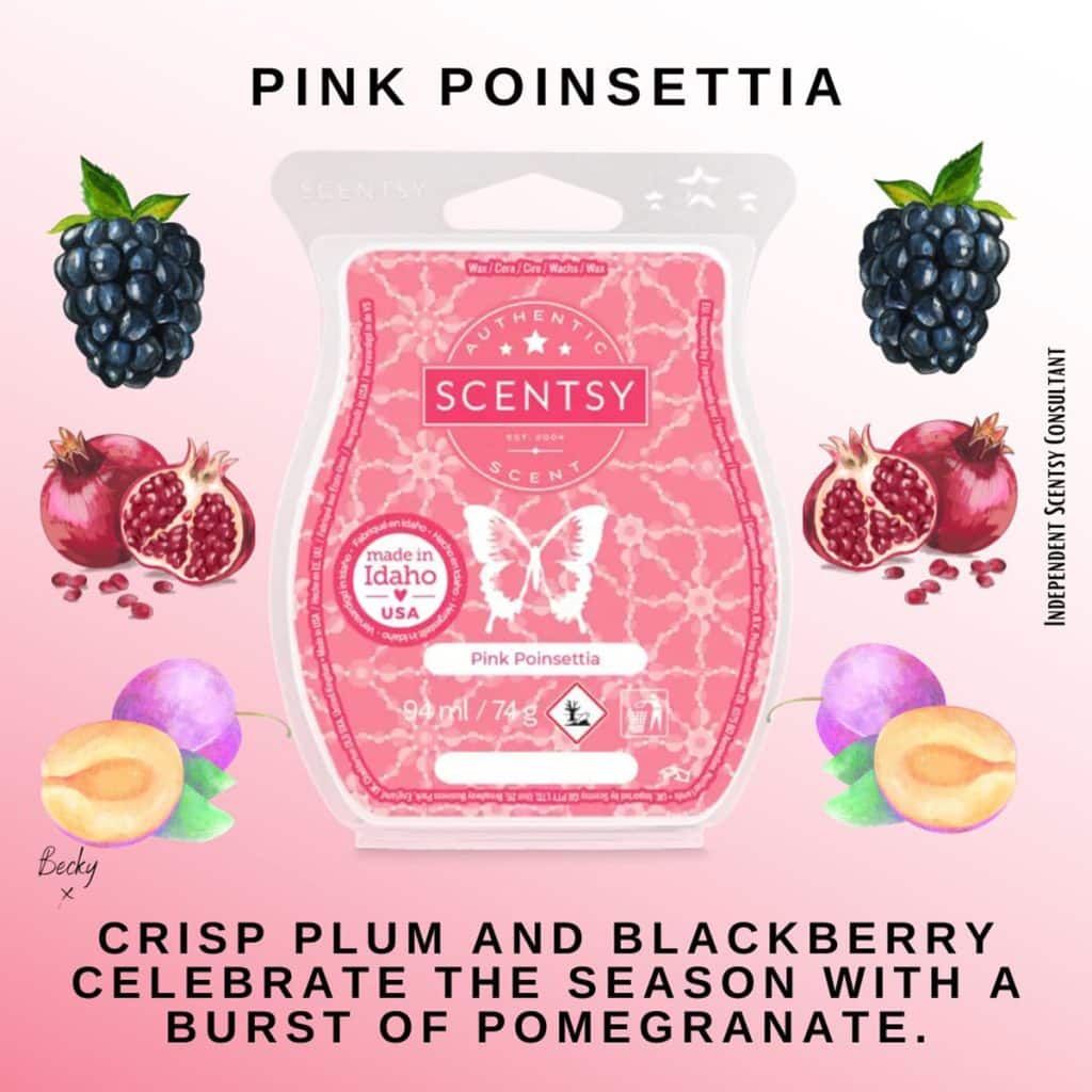 Pink Poinsettia Scentsy Bar - The Candle Boutique - Scentsy UK Consultant