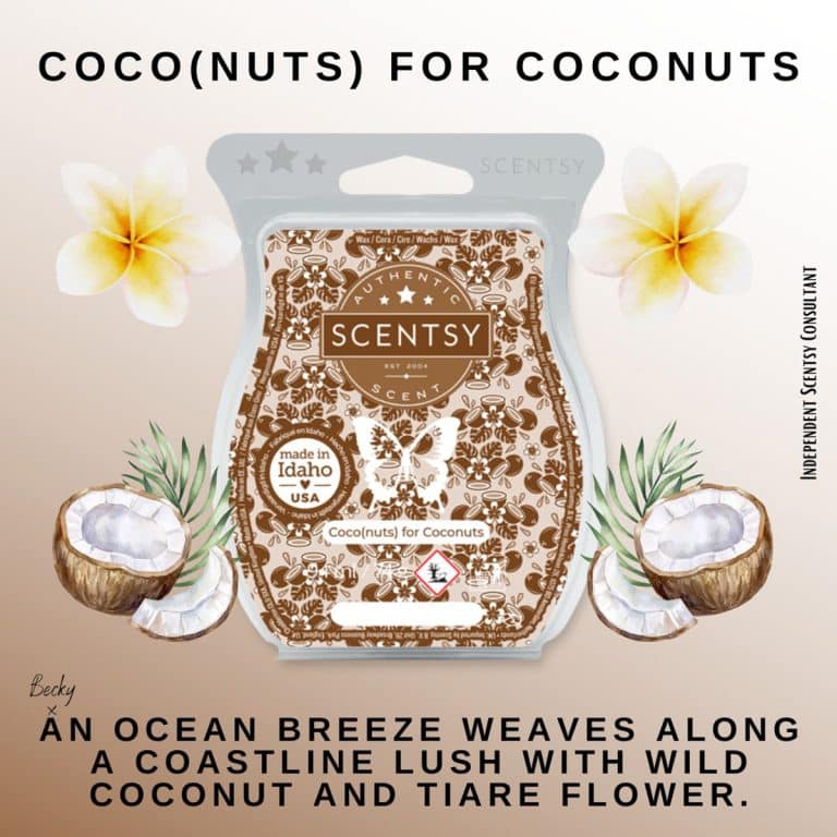 Coconut Flower Scentsy Bar - The Candle Boutique - Scentsy UK Consultant