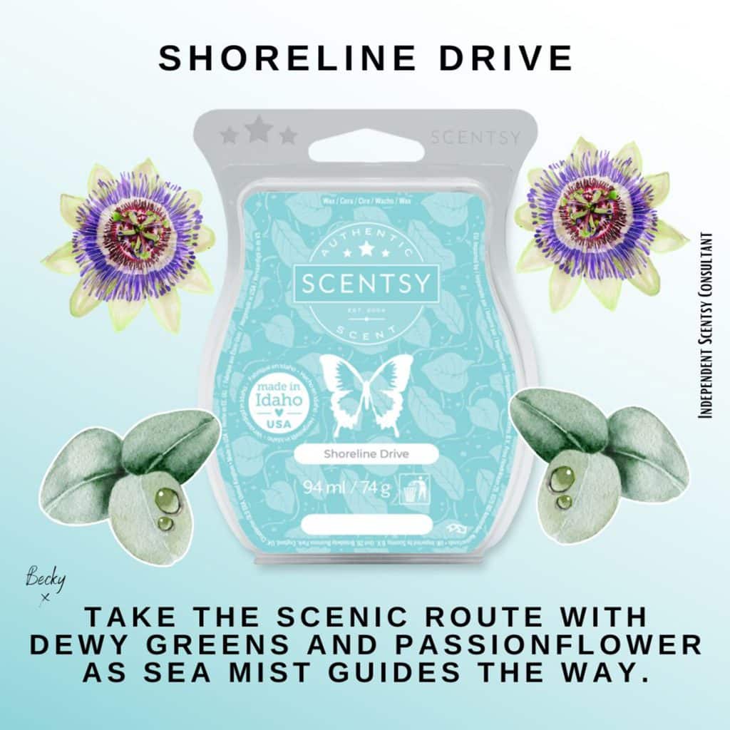 Spin Black Wall Fan Diffuser - The Candle Boutique - Scentsy UK Consultant