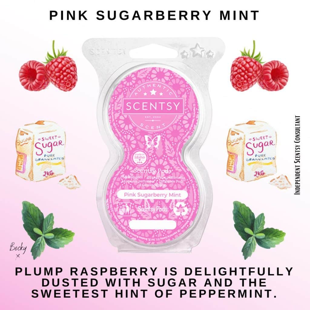 Pink Sugarberry Mint Scentsy Pods - Twin Pack - The Candle Boutique ...