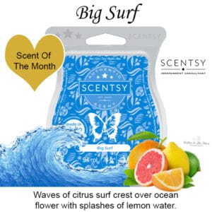 Big Surf Scentsy Bar - The Candle Boutique - Scentsy UK Consultant