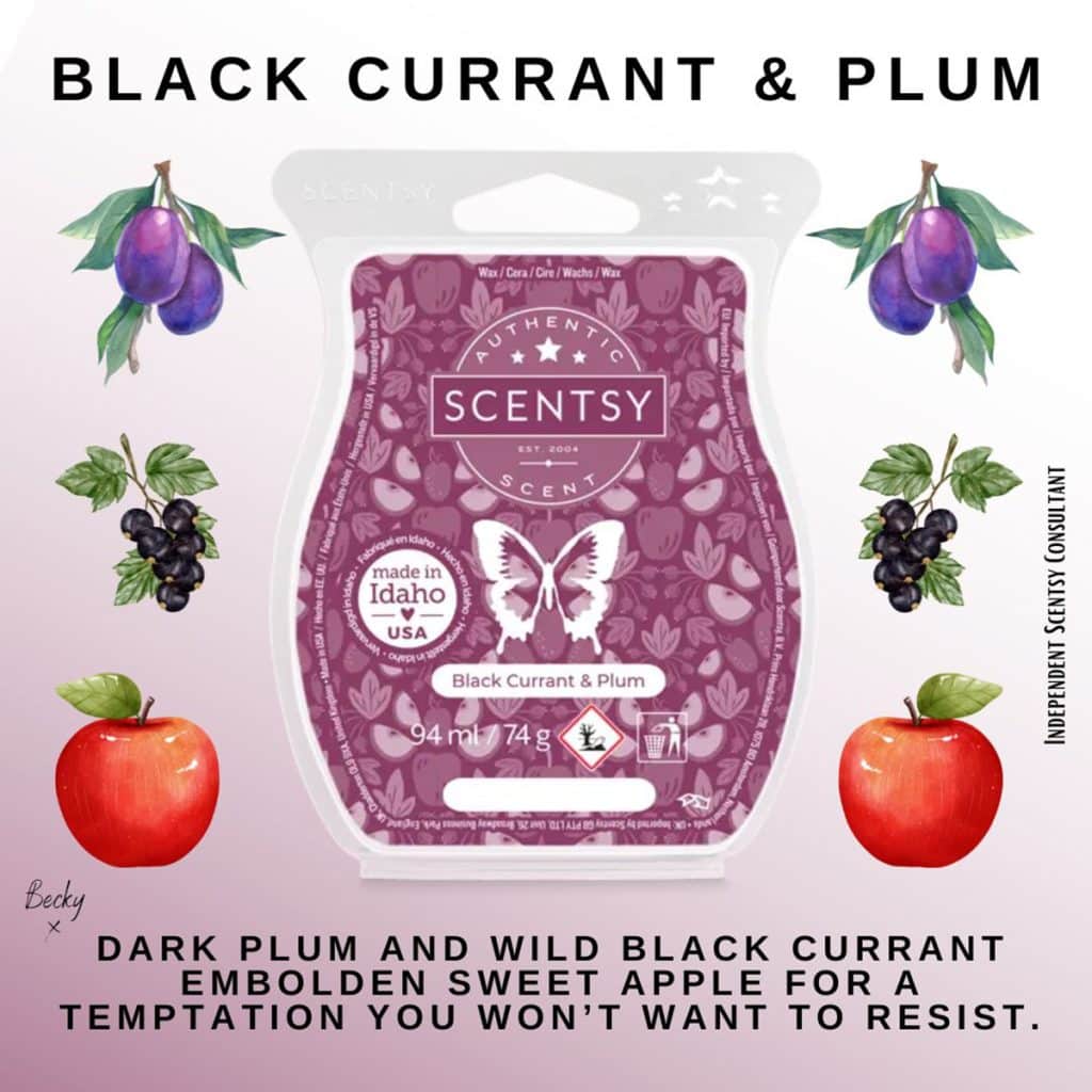 New Scentsy Spring Summer 2021 Wax Bars, Shop Our New Bars TODAY