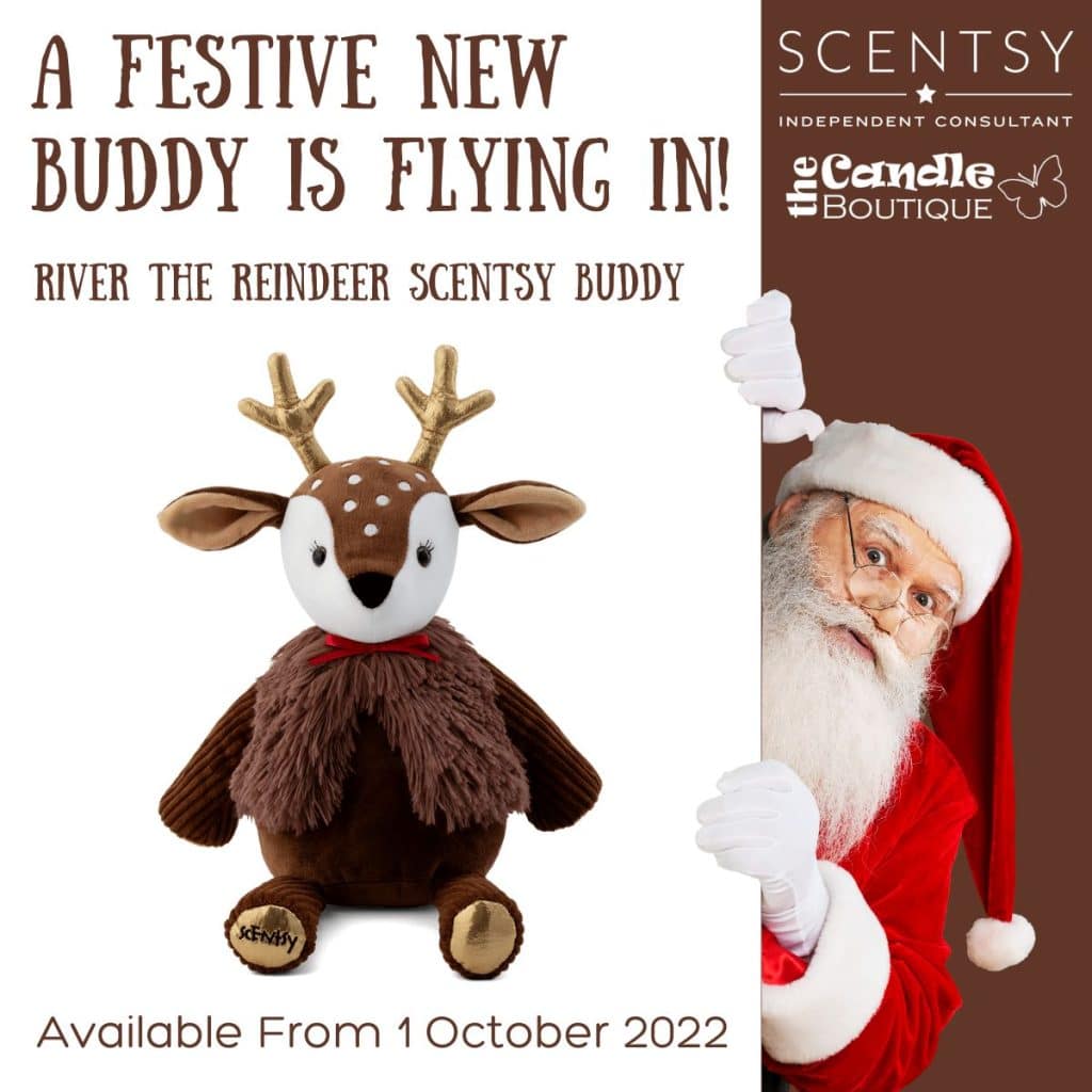A festive new Buddy is flying in! Meet River the Reindeer - The Candle ...