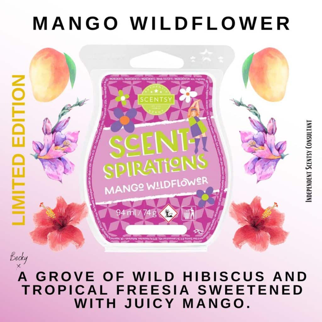 Mango Wildflower Scentsy Bar - The Candle Boutique - Scentsy UK Consultant