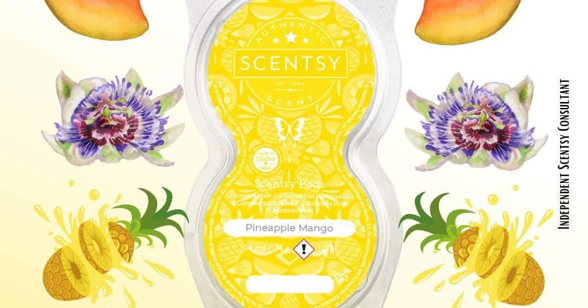 Pineapple Mango Scentsy Pods - Twin Pack - The Candle Boutique ...