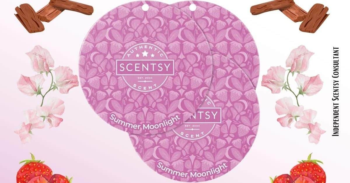 Summer Moonlight Scent Circle 3-pack - The Candle Boutique - Scentsy UK ...