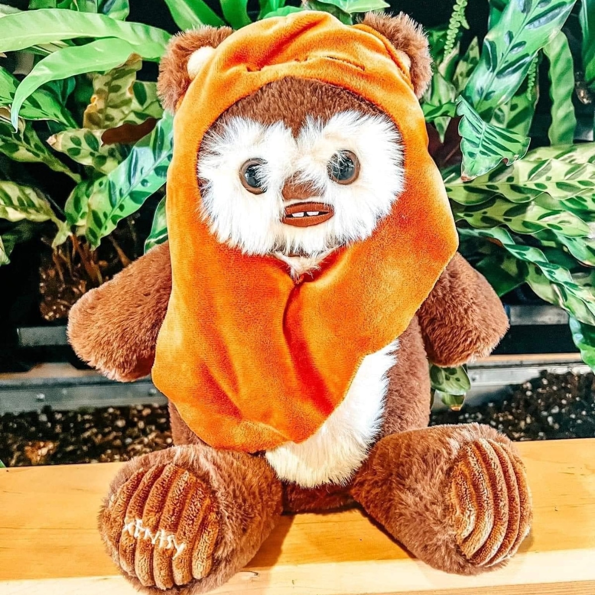 Ewok™ – Scentsy Buddy - The Candle Boutique - Scentsy UK Consultant