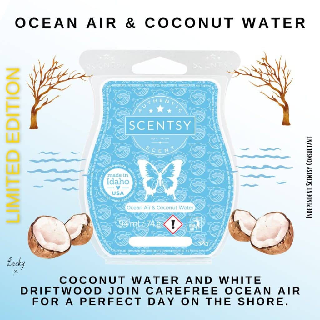 Ocean Air & Coconut Water Scentsy Bar Scentsy Product - The Candle ...