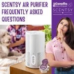 Scentsy Fragrance Flower Frequently Asked Questions - The Candle ...