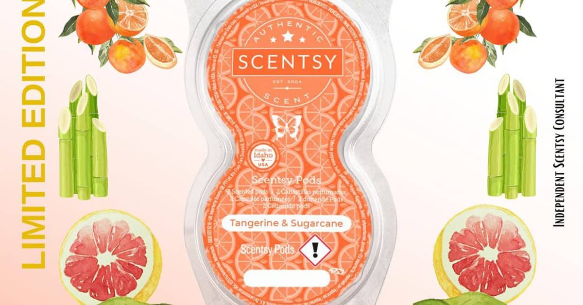 Tangerine & Sugarcane Scentsy Pod Twin Pack - The Candle Boutique ...