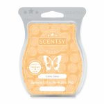 Hey, Tiger Lily Scentsy Bar | March Scent Of The Month - The Candle ...