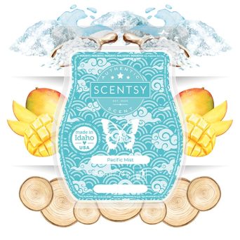 Pacific Mist Scentsy Bar - (June SOTM) - The Candle Boutique - Scentsy ...