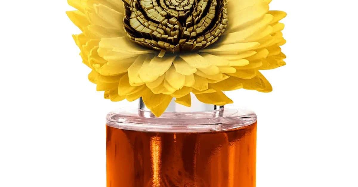 Forever Fall – Stunning Sunflower Scentsy Fragrance Flower - The Candle Boutique - Scentsy UK ...