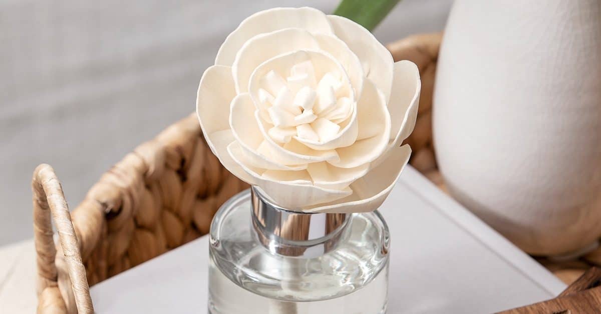 Hibiscus Pineapple – Buttercup Belle Fragrance Flower - The Candle ...