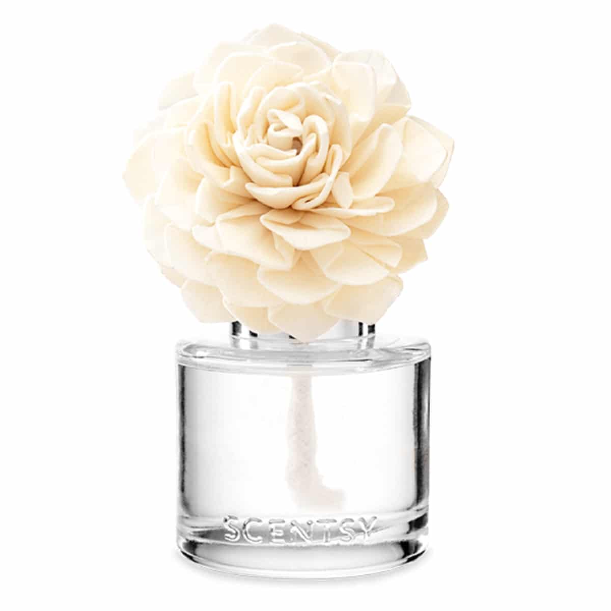 Autumn Road Trip Scentsy Fragrance Flower – Dahlia Darling Fragrance ...