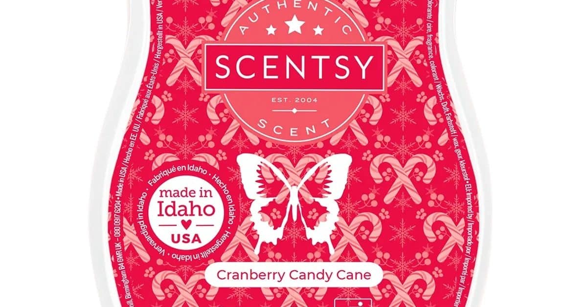 Cranberry Candy Cane Scentsy Bar - The Candle Boutique - Scentsy UK ...