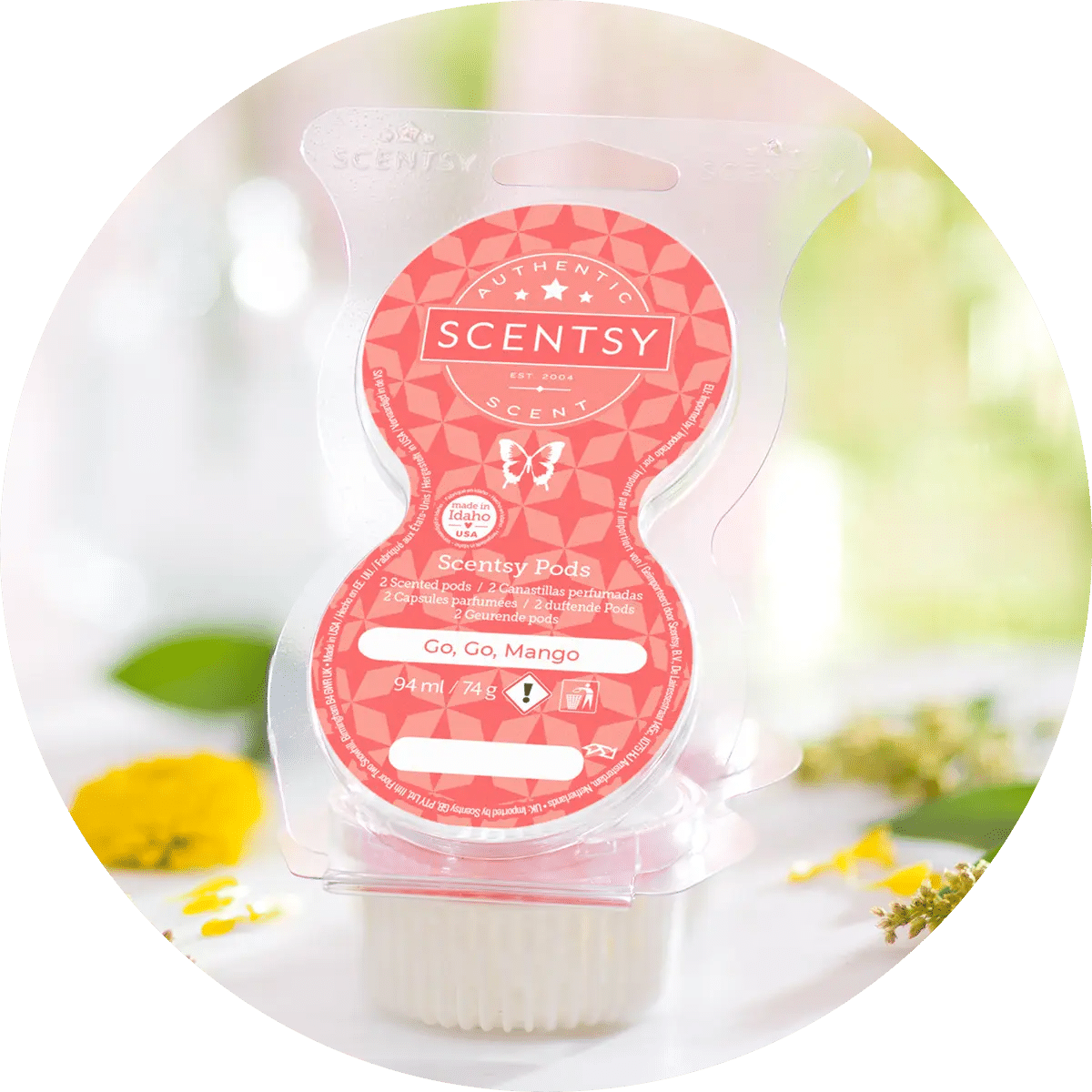 Scentsy Go System Frequently Asked Questions - The Candle Boutique ...