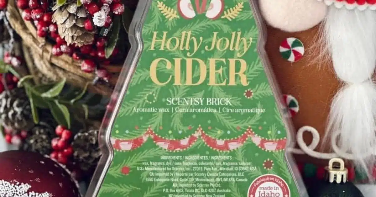 Holly Jolly Cider Scentsy Brick - The Candle Boutique - Scentsy UK ...